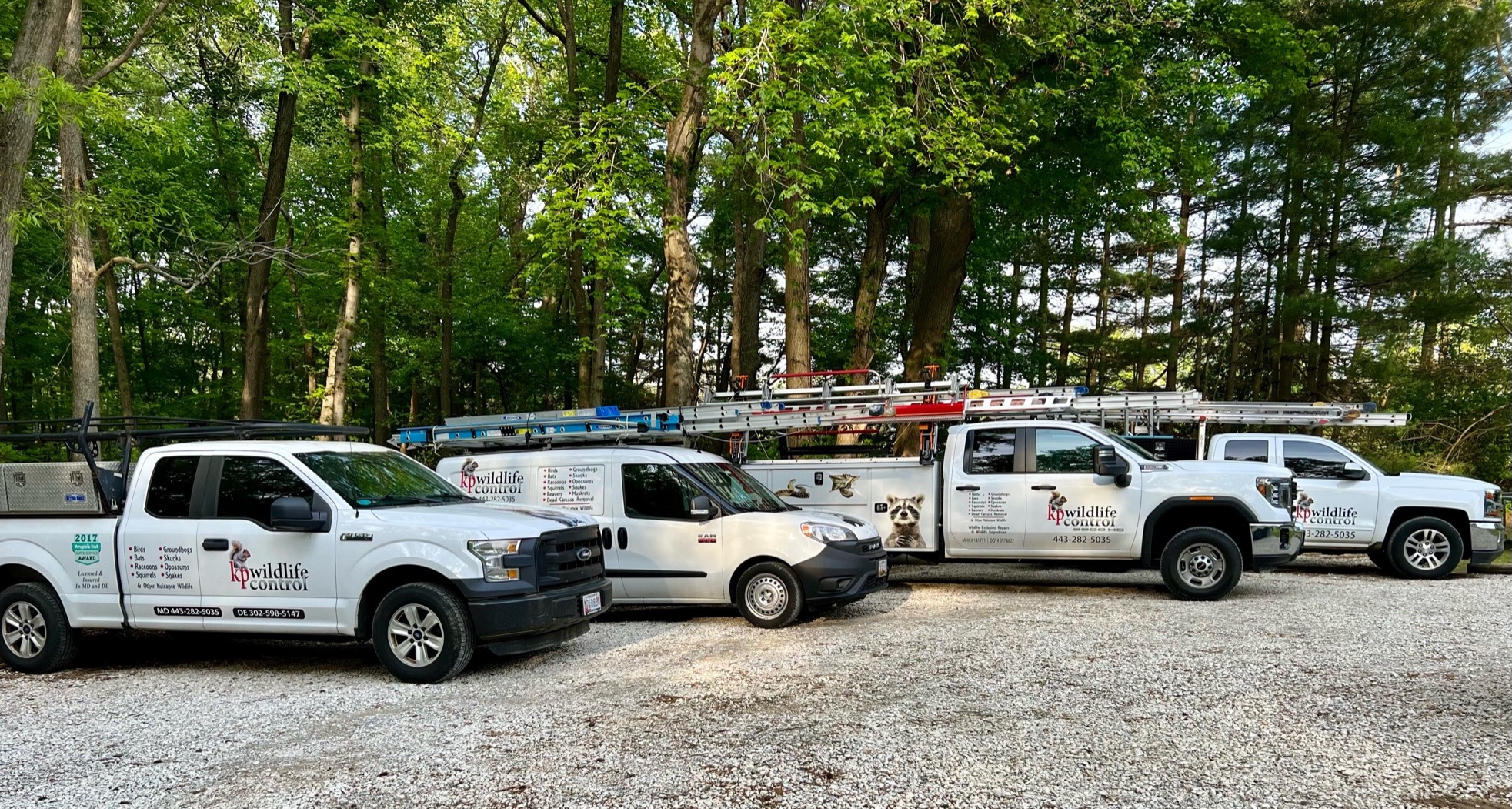 Maryland Wildlife Removal Company - K.P. Wildlife Control